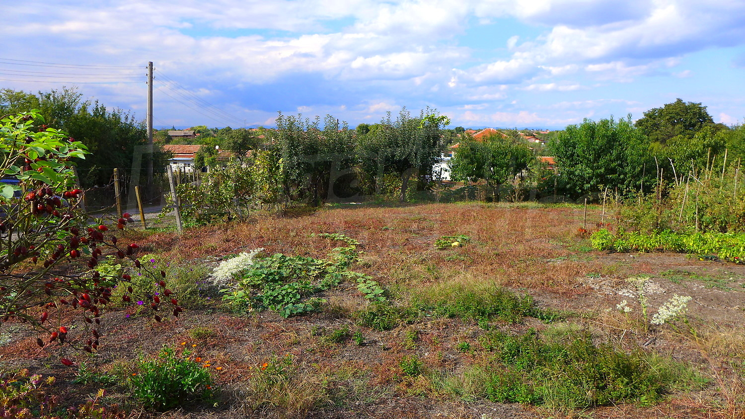 House for sale near Stara Zagora, Radnevo, Bulgaria. House for sale 3 ...