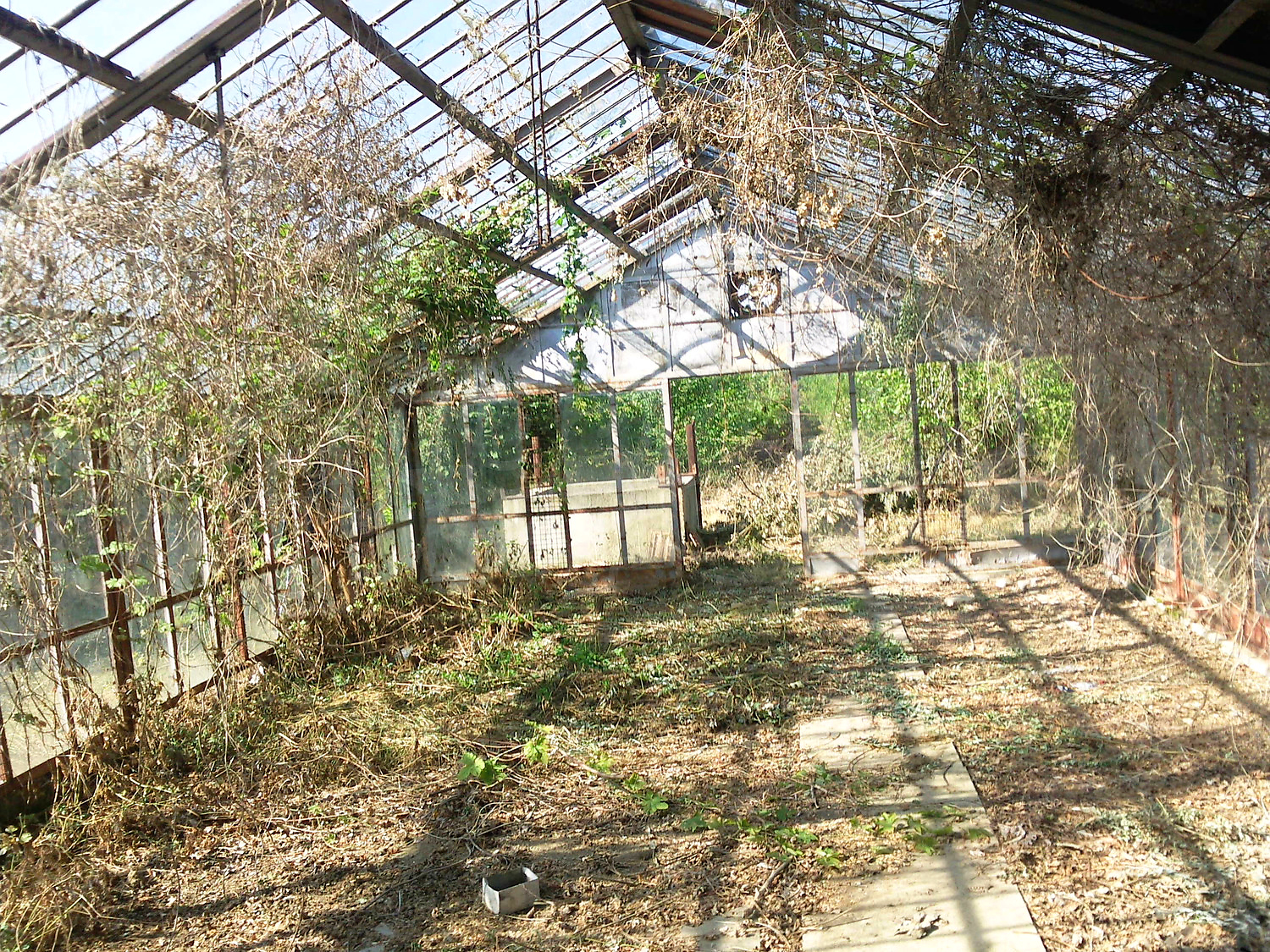 House for sale in Resen, Bulgaria.