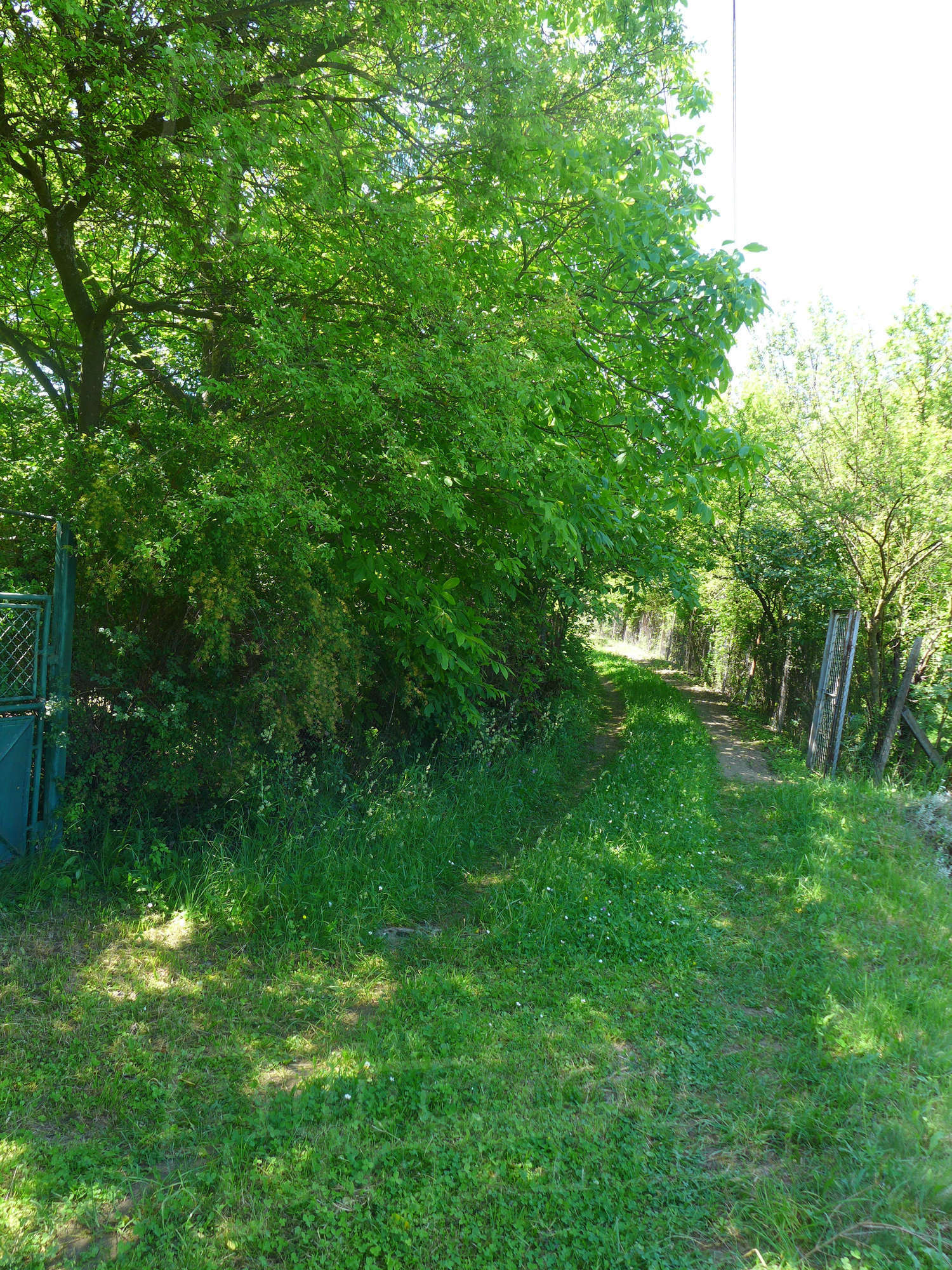 house-for-sale-near-sofia-bulgaria-solid-3-storey-house-with-yard-in