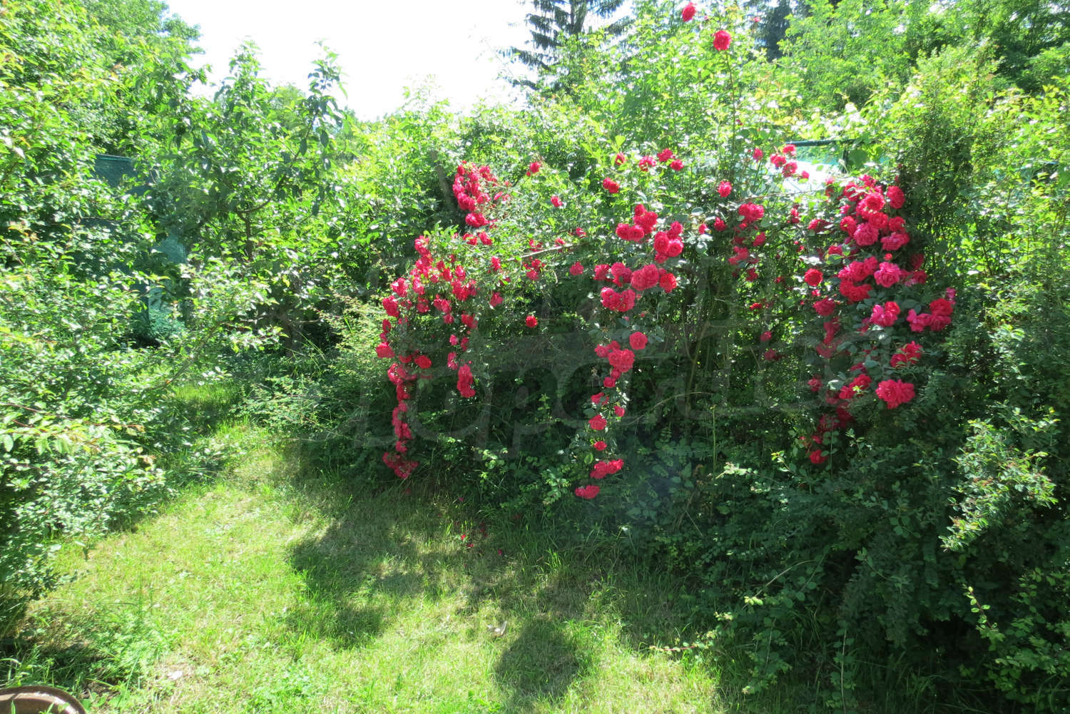 House for rent near Sofia, Bulgaria. Modern, fully furnished 2-storey ...