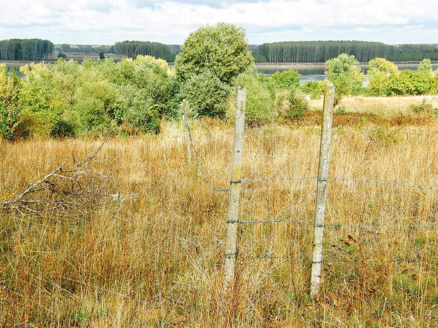 Agricultural land for sale near Lom, Bulgaria. Agricultural land and ...