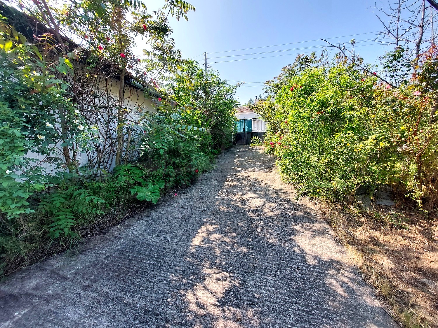 House for sale in Sinapovo, Bulgaria. A large house in the village of ...