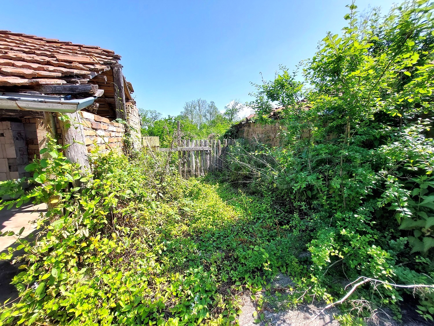 House for sale in Sinapovo, Bulgaria. A large house in the village of ...