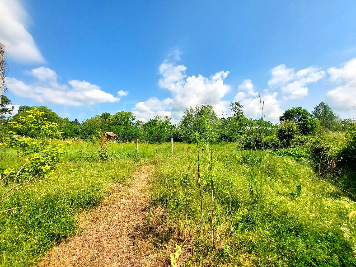 House for sale in Sinapovo, selo Sinapovo, Bulgaria. Small house in ...