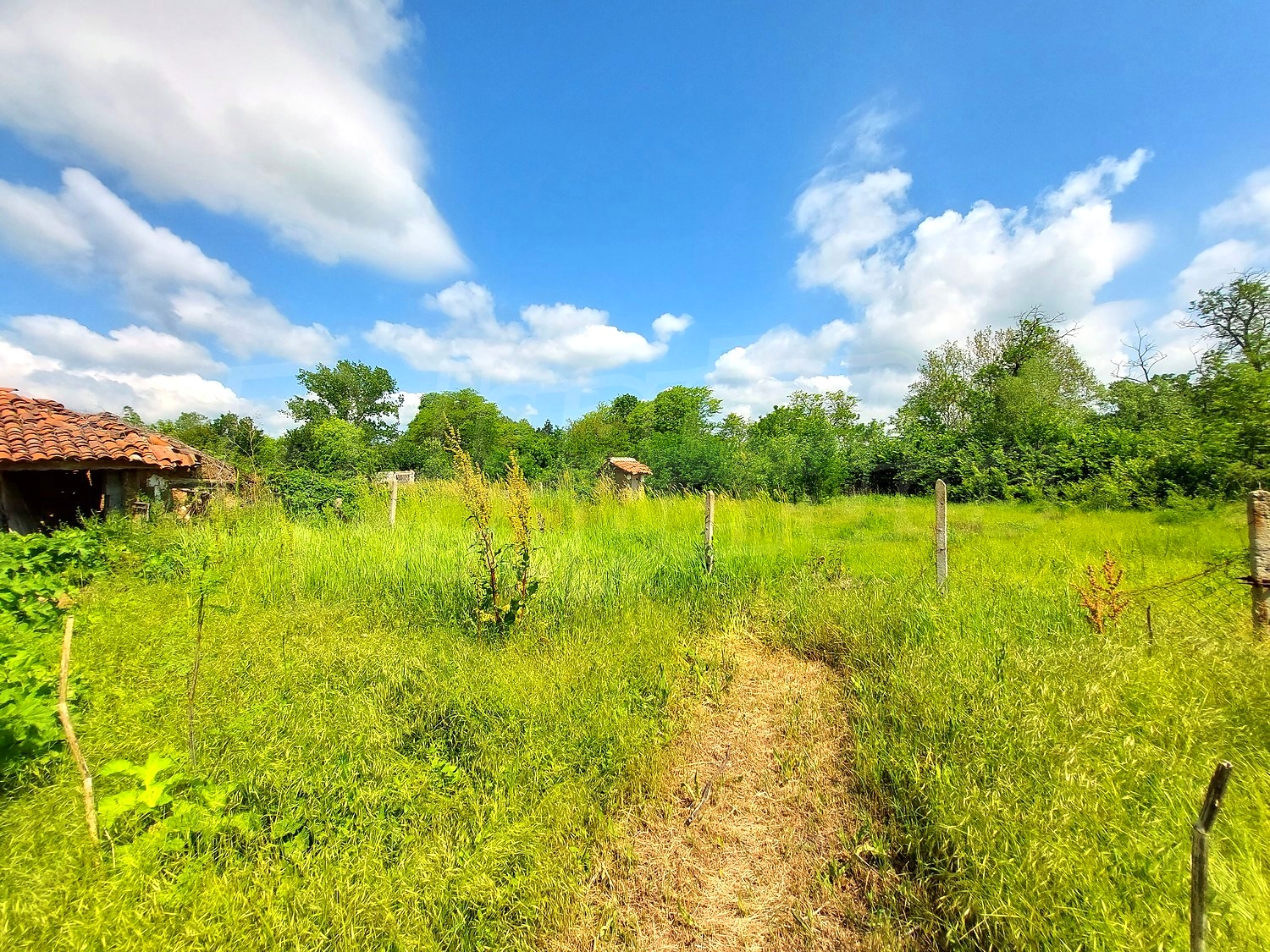 House for sale in Sinapovo, selo Sinapovo, Bulgaria. Small house in ...