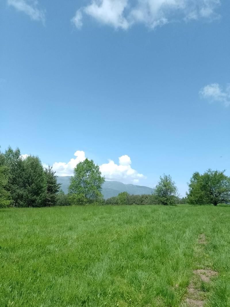 Land for sale and rent in Bulgaria. Bargain property, Land for sale and ...